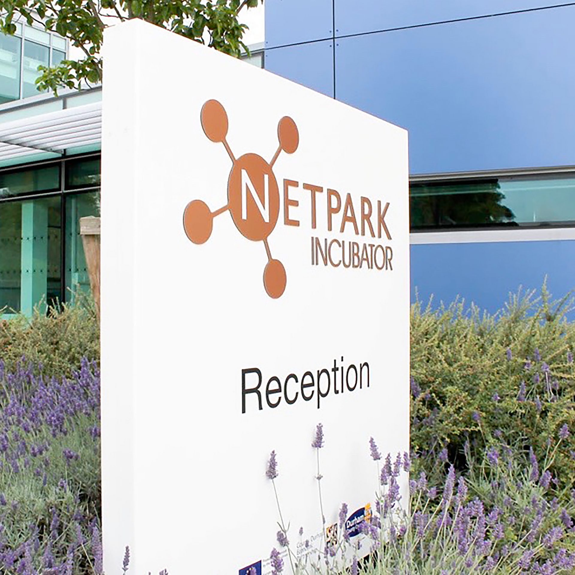 NETPark - Specialist display imaging