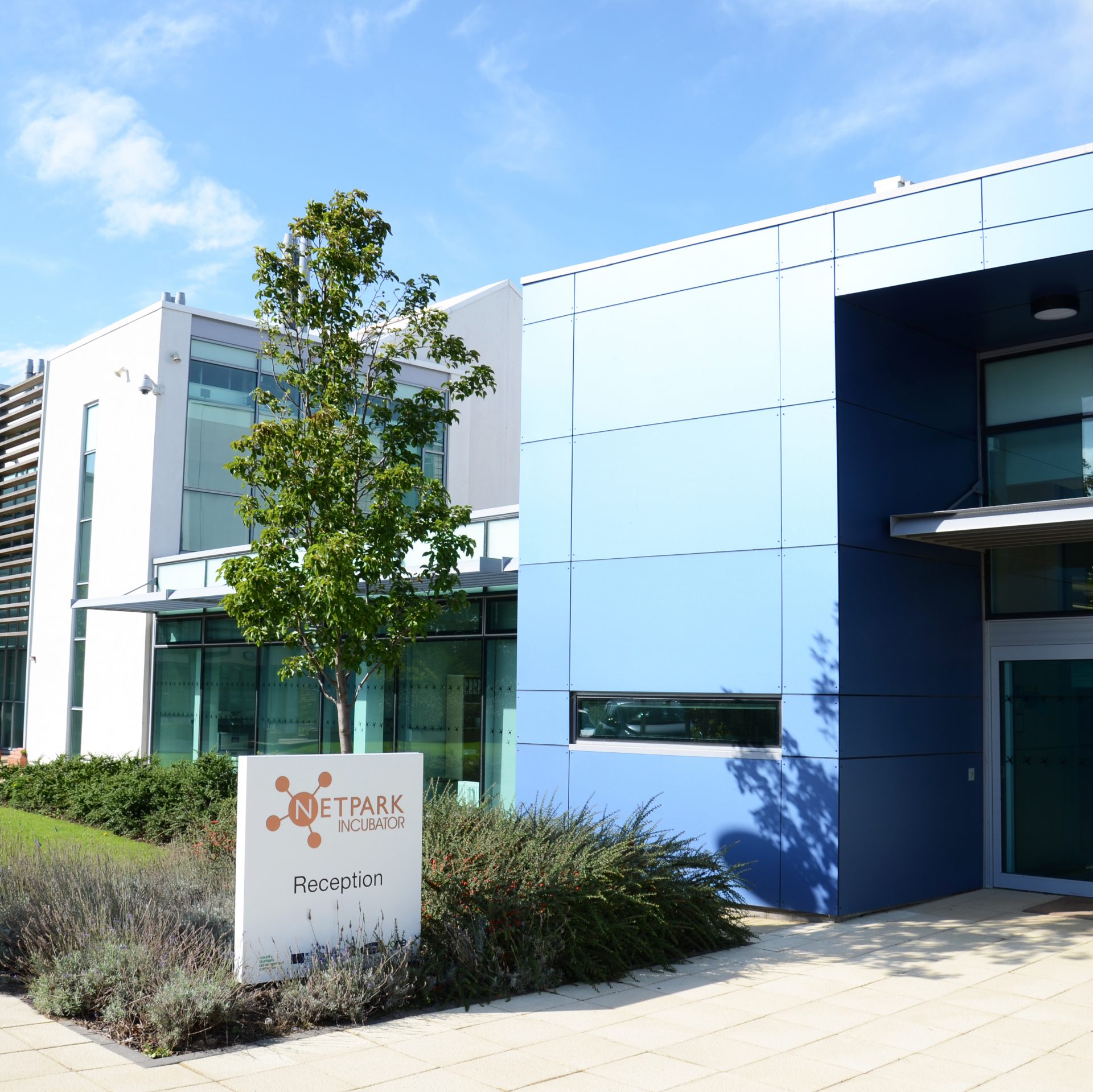 NETPark - Specialist display imaging