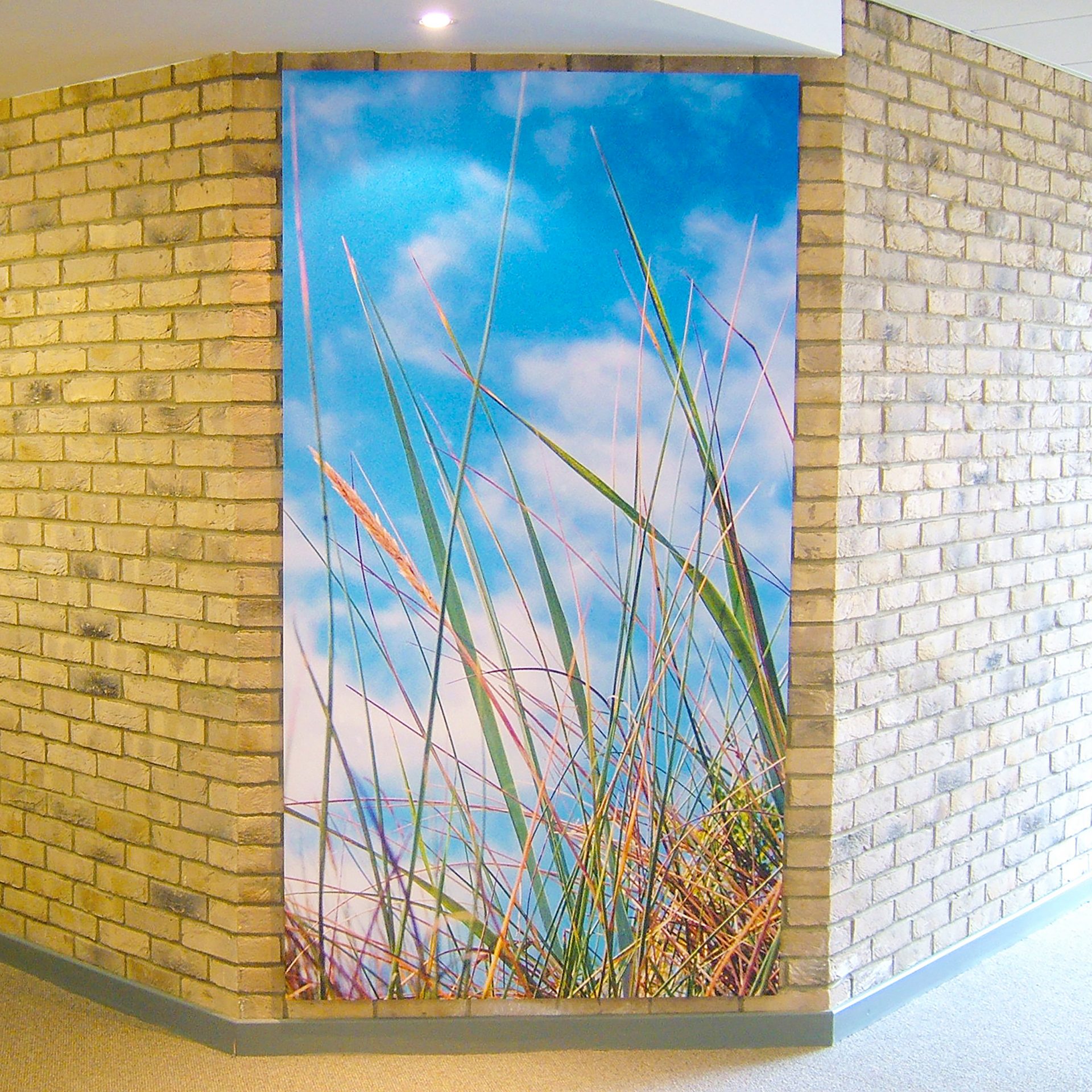 St George's Hospital - Specialist display imaging
