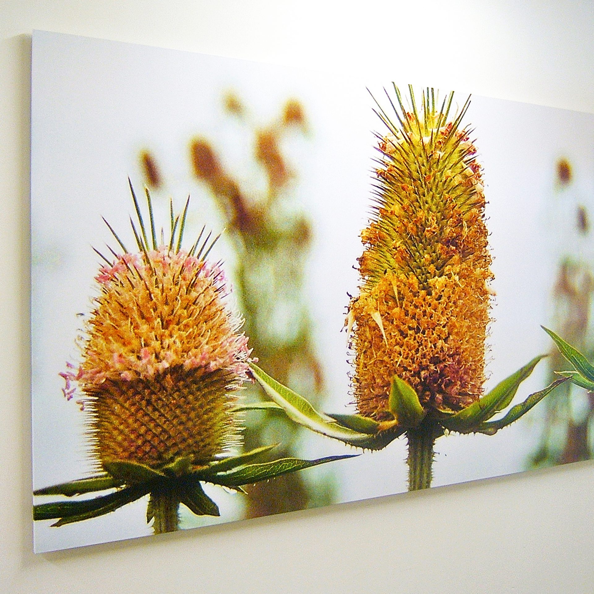 St George's Hospital - Specialist display imaging
